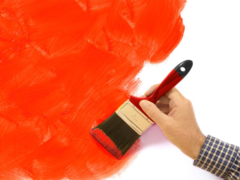 Professional Paint Brush